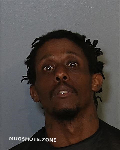 SNEAD CHARMANE 02/11/2023 - Osceola County Mugshots Zone