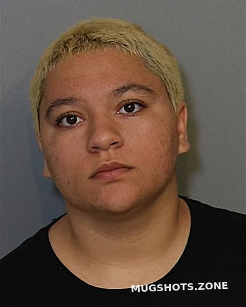 OSORIO YASMIN 02/14/2023 - Osceola County Mugshots Zone
