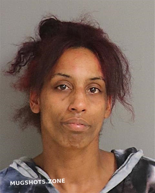 MARISSA NICOLE HAMILTON 06/06/2023 - Osceola County Mugshots Zone