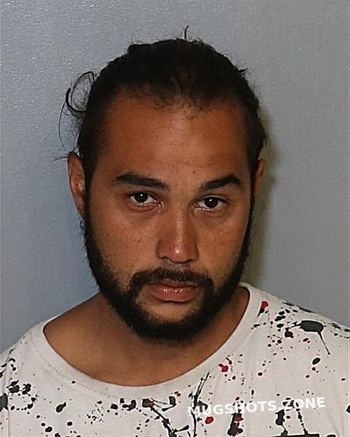 RAMOS FERNANDO 06/13/2023 - Osceola County Mugshots Zone