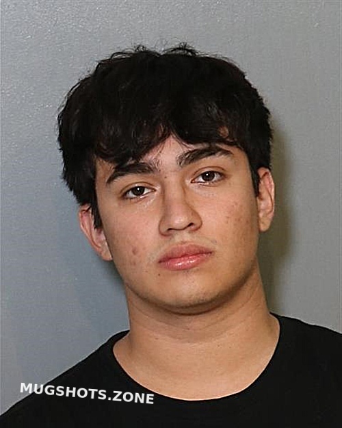 MEDRANO JOHAN 08/13/2023 - Osceola County Mugshots Zone
