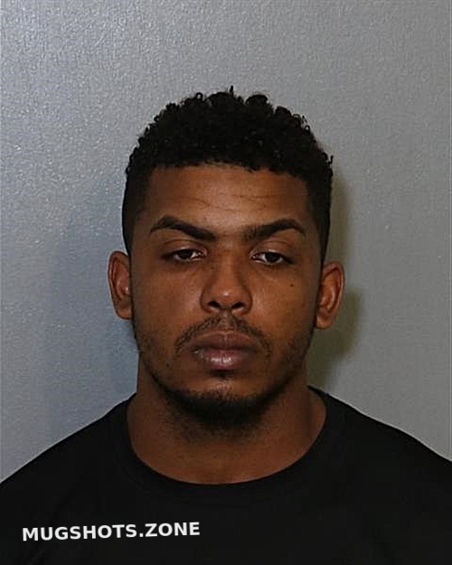 CASTILLO-AGRAMONTE LUIS 09/03/2023 - Osceola County Mugshots Zone