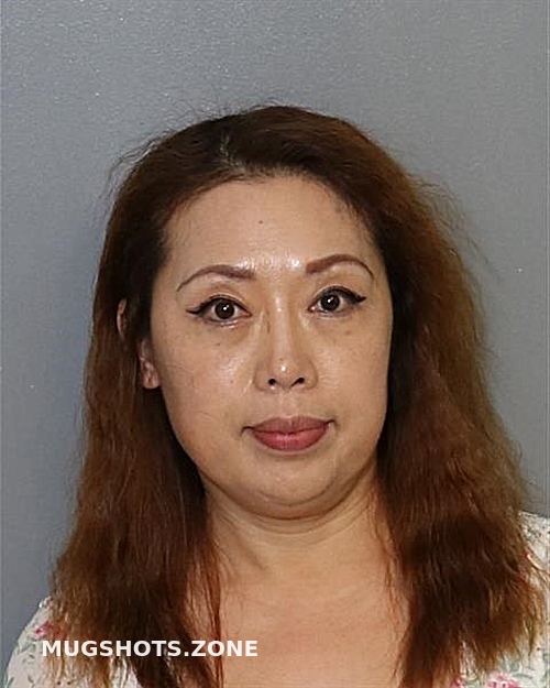 ZHANG YINGHUA 10/25/2023 - Osceola County Mugshots Zone