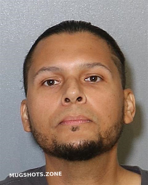 JOHAN M PAYANO 10/28/2023 - Osceola County Mugshots Zone