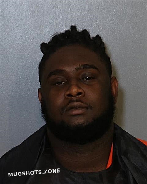 BROWN KAYLE 11/14/2023 - Osceola County Mugshots Zone