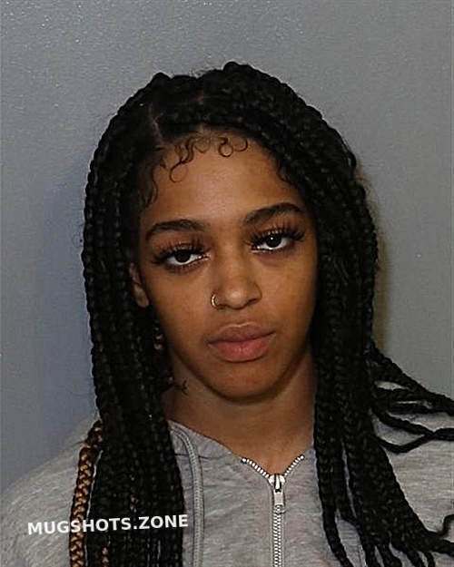 ELANIE CHRISTINE LONG 11/19/2023 - Osceola County Mugshots Zone