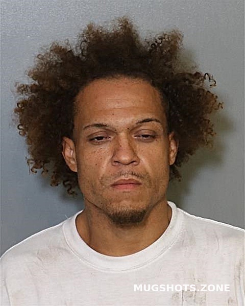 SHELTON ANTHONY ROBERTS 11/20/2023 - Osceola County Mugshots Zone