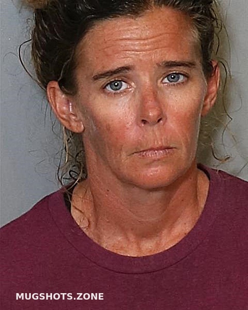 ERIN LISETTE COOK 12/02/2023 - Osceola County Mugshots Zone