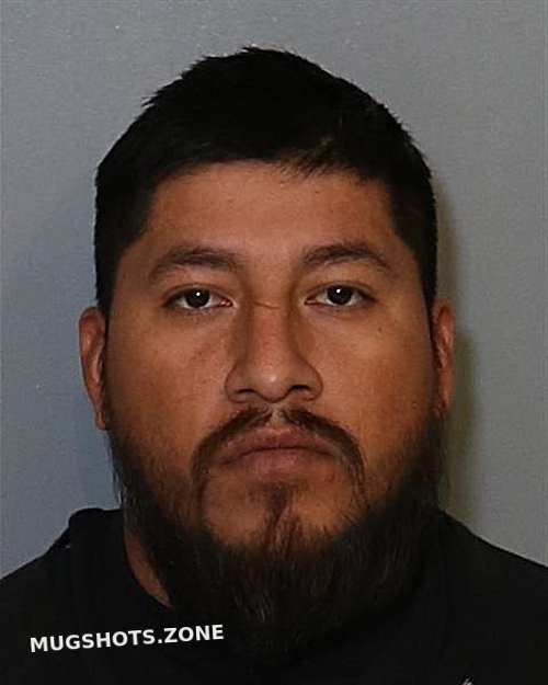 PANZO RENE 12/20/2023 - Osceola County Mugshots Zone