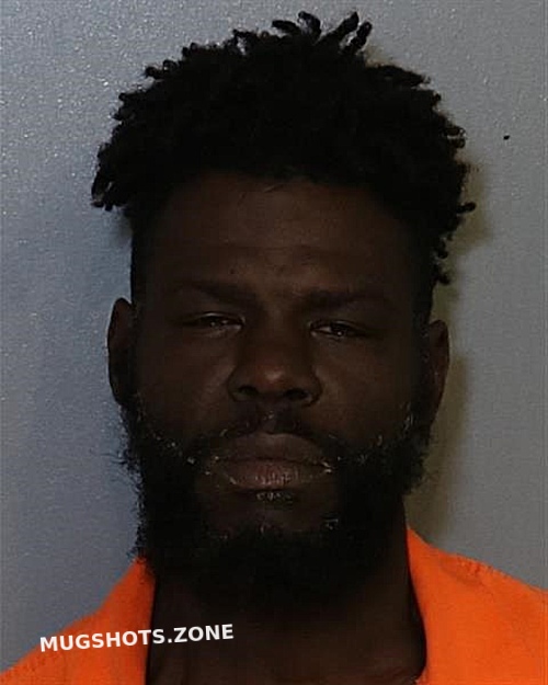 MICHAEL SAMUEL REED 12/20/2023 - Osceola County Mugshots Zone