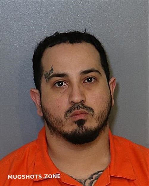 DYLAN ALEXANDER TELLERIA 01/05/2024 - Osceola County Mugshots Zone