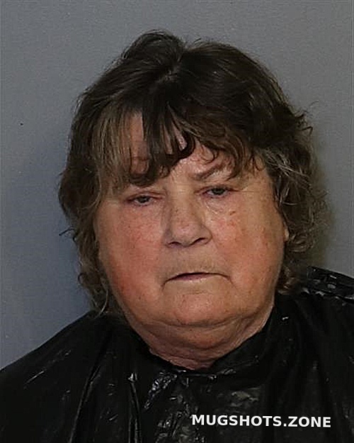 DEBRA ANN BLAINE 01/10/2024 - Osceola County Mugshots Zone