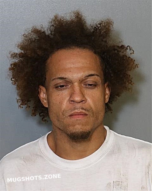 SHELTON ANTHONY ROBERTS 01/11/2024 - Osceola County Mugshots Zone