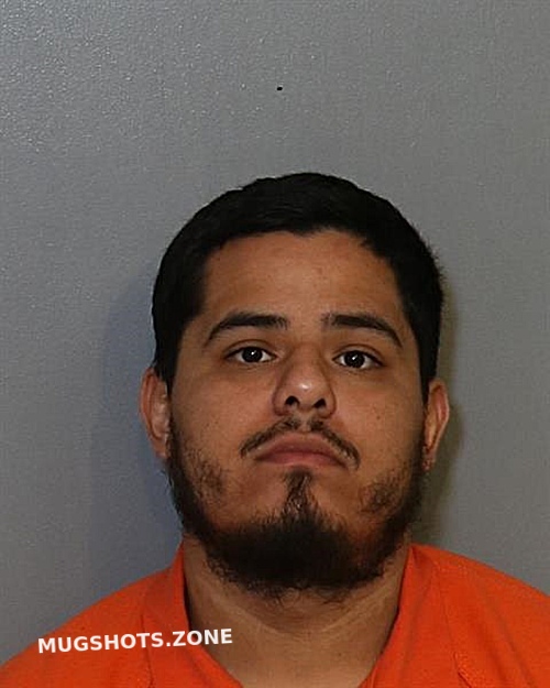 GLEN ALEXANDER CASTRO 02/02/2024 - Osceola County Mugshots Zone