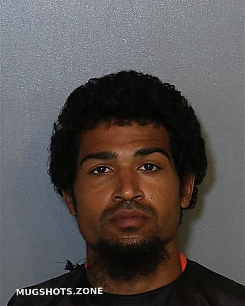 TYLER ROBERT SCOTT 03/15/2024 - Osceola County Mugshots Zone