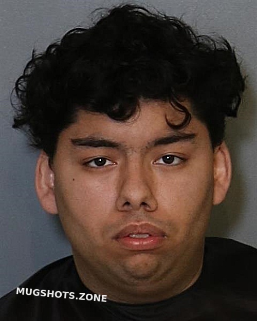 YANDEL RODRIGUEZ 03/26/2024 - Osceola County Mugshots Zone