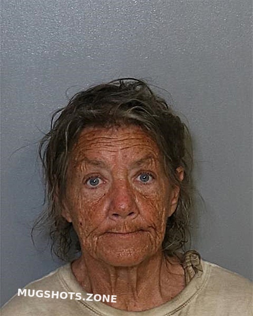 SHARON RENEE DAFFRON 03/29/2024 - Osceola County Mugshots Zone