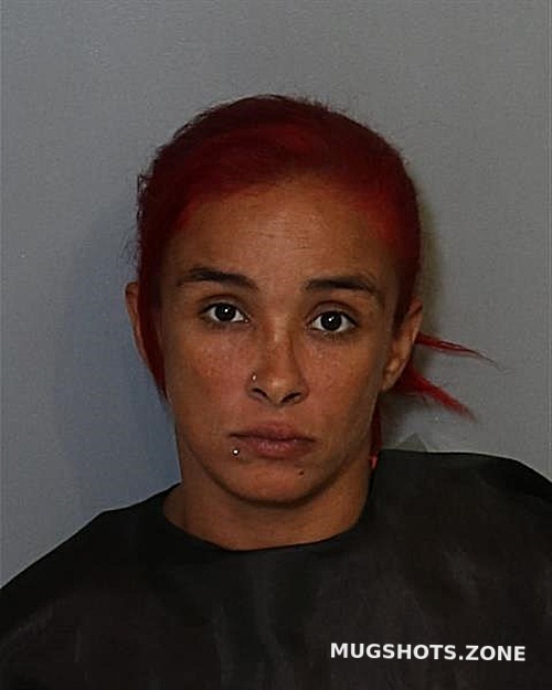 MIRELIS DIMAR COLON 04/18/2024 - Osceola County Mugshots Zone