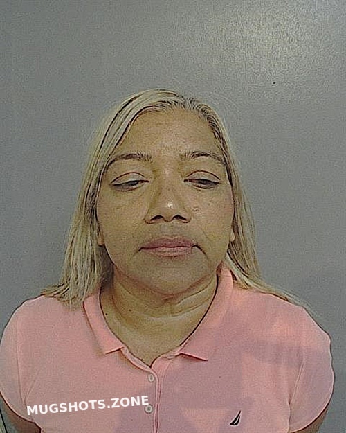 SANDRA RAMKISSOON 05/18/2024 - Osceola County Mugshots Zone