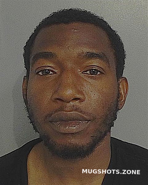 DOMINIQUE TERRY 05/24/2024 - Osceola County Mugshots Zone