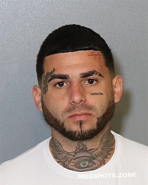CHRISTIAN LOUIS AVILES-ROMAN 06/11/2024 - Osceola County Mugshots Zone