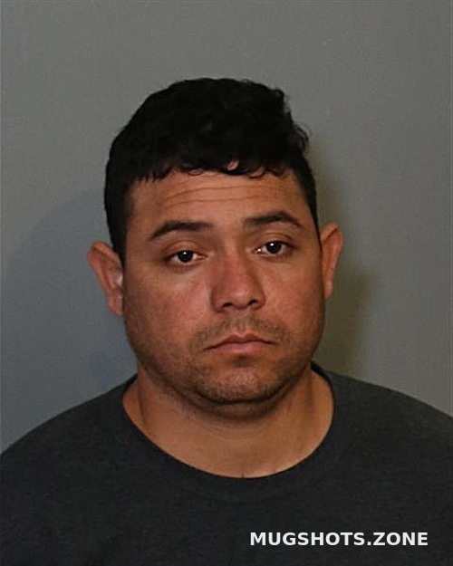 ANTHONY JOSE SALCEDO-GARNICO 06/16/2024 - Osceola County Mugshots Zone