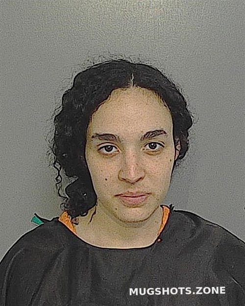 MICHELLE DIANA OSTOLAZA-COLON 06/17/2024 - Osceola County Mugshots Zone
