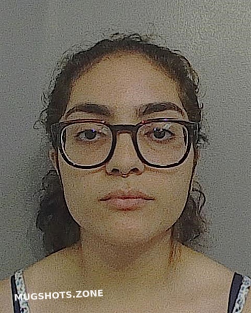 JANELLE ELAINE SANCHEZ 06/19/2024 - Osceola County Mugshots Zone
