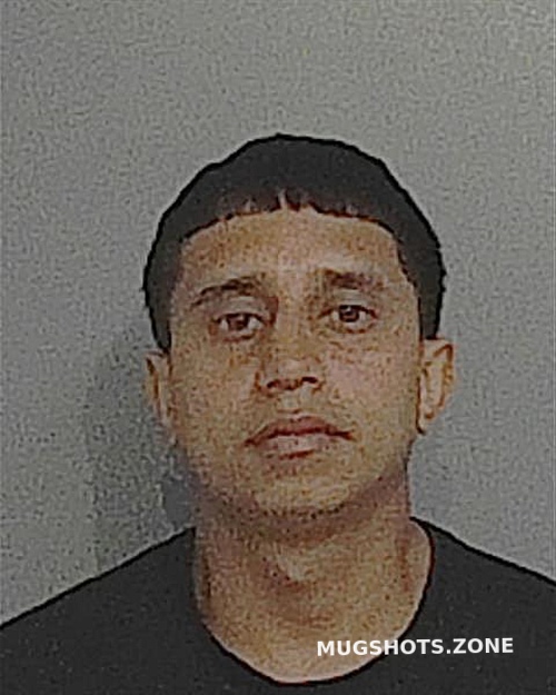 ISMAEL DAVID DIAZ-GIL 06/21/2024 - Osceola County Mugshots Zone