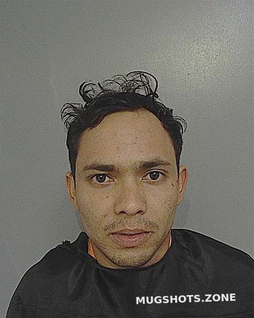 RAFAEL JOSE LINARES-RIERA 06/25/2024 - Osceola County Mugshots Zone