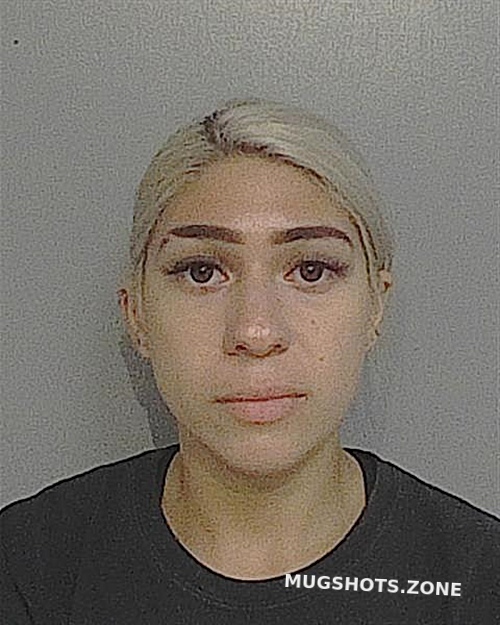 KATELYN MICHELLE ESTRADA 06/26/2024 - Osceola County Mugshots Zone