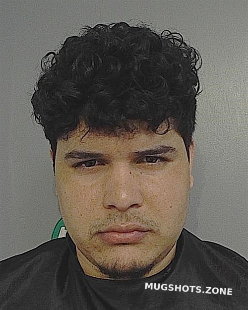 NICK TEMIS RIOS-VILLEGAS 07/06/2024 - Osceola County Mugshots Zone