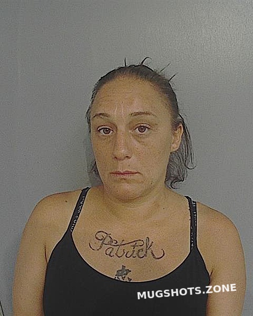 SHELLY RAY HANNER 07/09/2024 - Osceola County Mugshots Zone
