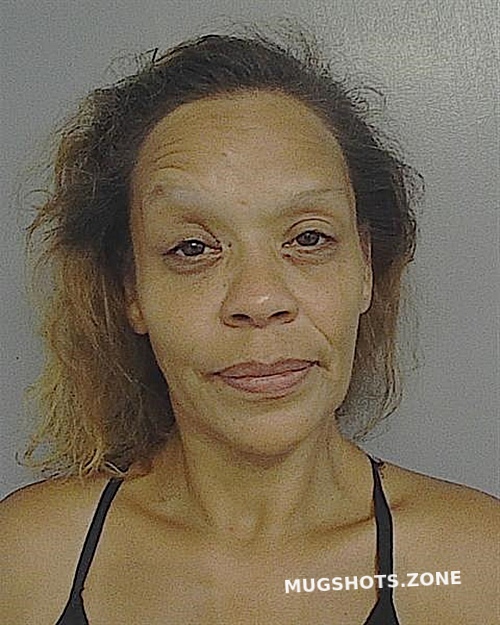 LISA JULIA RIVERA 07/14/2024 - Osceola County Mugshots Zone