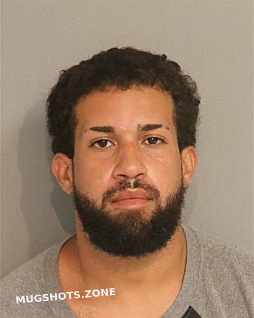 NELVICK JAVIER LOPEZ-OLIVO 07/15/2024 - Osceola County Mugshots Zone