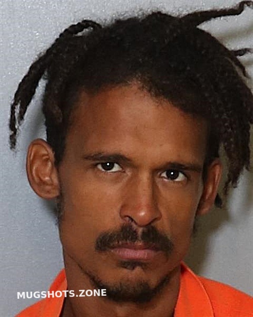 PHILYS O RODRIGUEZ 07/23/2024 - Osceola County Mugshots Zone