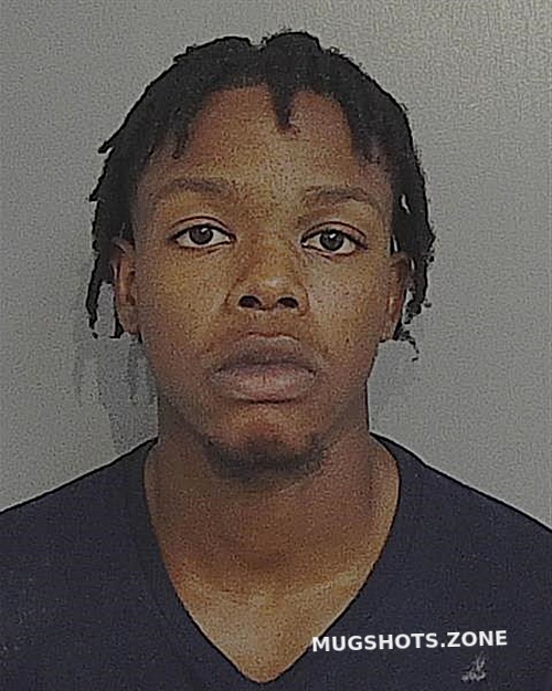 TYRELL LUCIUS MCGILL 07/27/2024 - Osceola County Mugshots Zone
