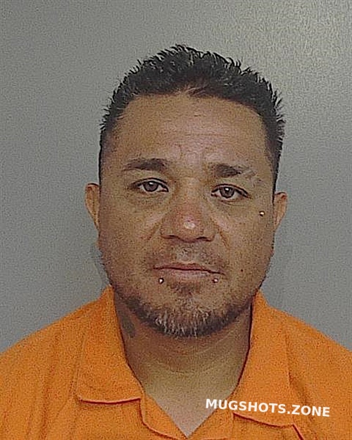 LUIS DANIEL PEREZ-CASTILLO 07/28/2024 - Osceola County Mugshots Zone