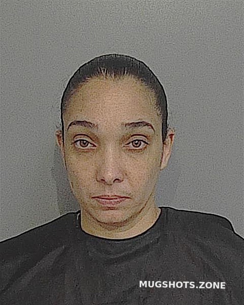 ALEXANDRA ALVARADO-SIERRA 08/05/2024 - Osceola County Mugshots Zone