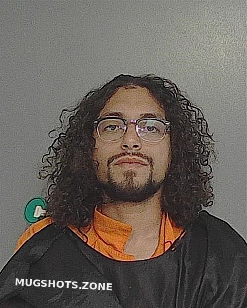 GODWIN R ROMAN 08/13/2024 - Osceola County Mugshots Zone