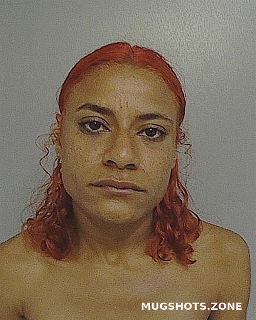 NANCY IVELYS COLON 08/23/2024 - Osceola County Mugshots Zone