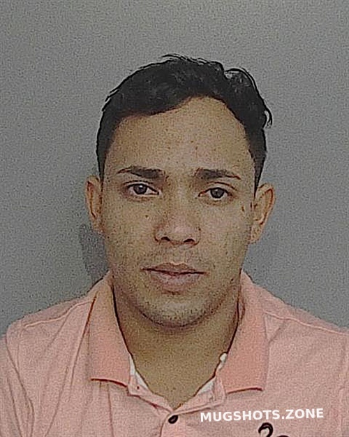 RAFAEL JOSE LINARES-RIERA 09/02/2024 - Osceola County Mugshots Zone