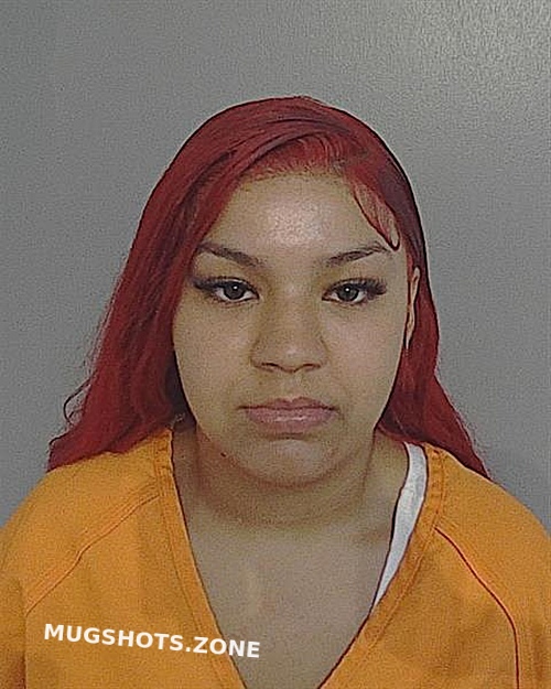 ANAMARIE BEATRIS RAMOS 09/09/2024 - Osceola County Mugshots Zone