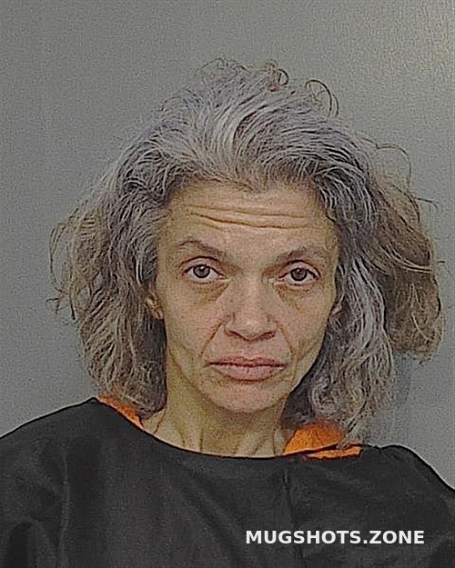 RHONDA BASILE RODRIGUEZ 09/10/2024 - Osceola County Mugshots Zone