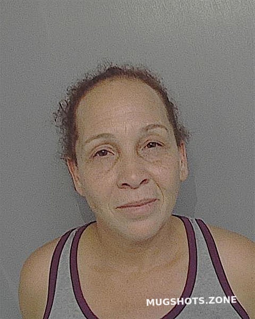 DIANA THERESA ROE 09/16/2024 - Osceola County Mugshots Zone