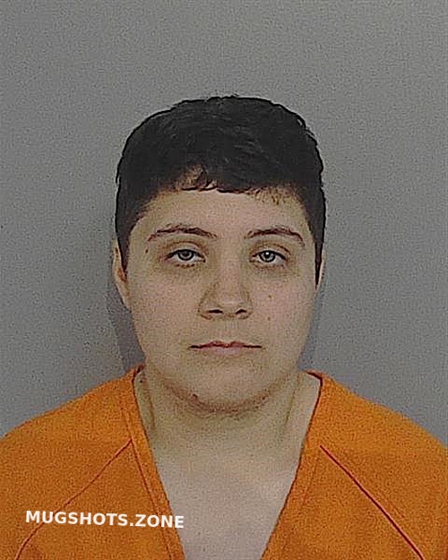 LUKAS JAMES SALLEE 09/19/2024 - Osceola County Mugshots Zone