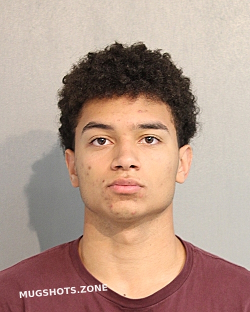 DANIEL SILVA LEAL 10/24/2024 - Osceola County Mugshots Zone