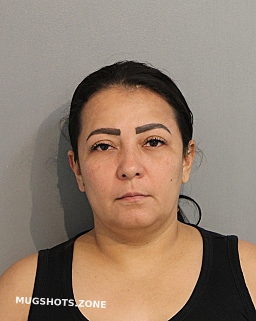 BRENDA PATRICIA SOLIS-RAUDALES 10/28/2024 - Osceola County Mugshots Zone