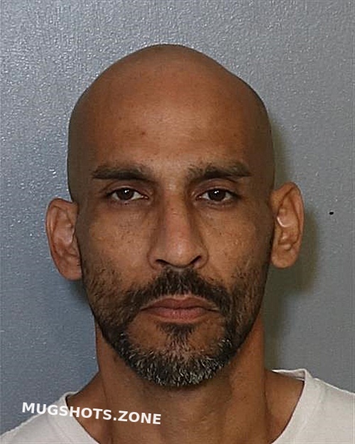 SAMMIE NEGRON 11/20/2024 - Osceola County Mugshots Zone