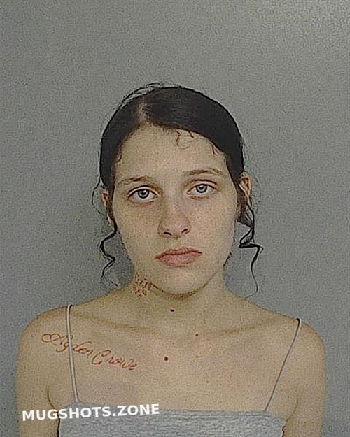 GABRIELLA ELIZABETH SANDER 11/20/2024 - Osceola County Mugshots Zone
